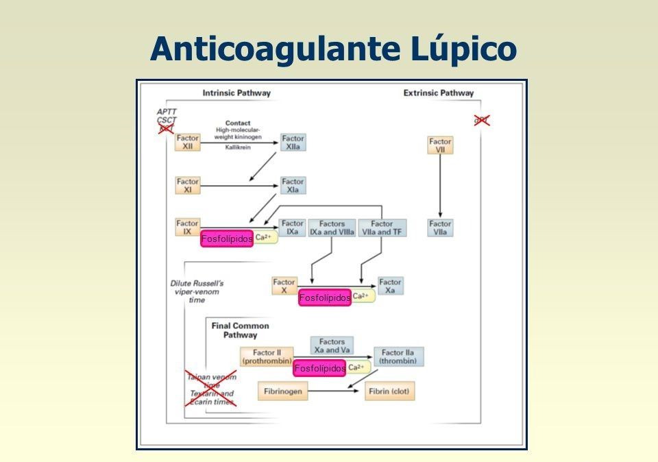 Anticoagulante lúpico - Estudios Analíticos aplicados a la clínica